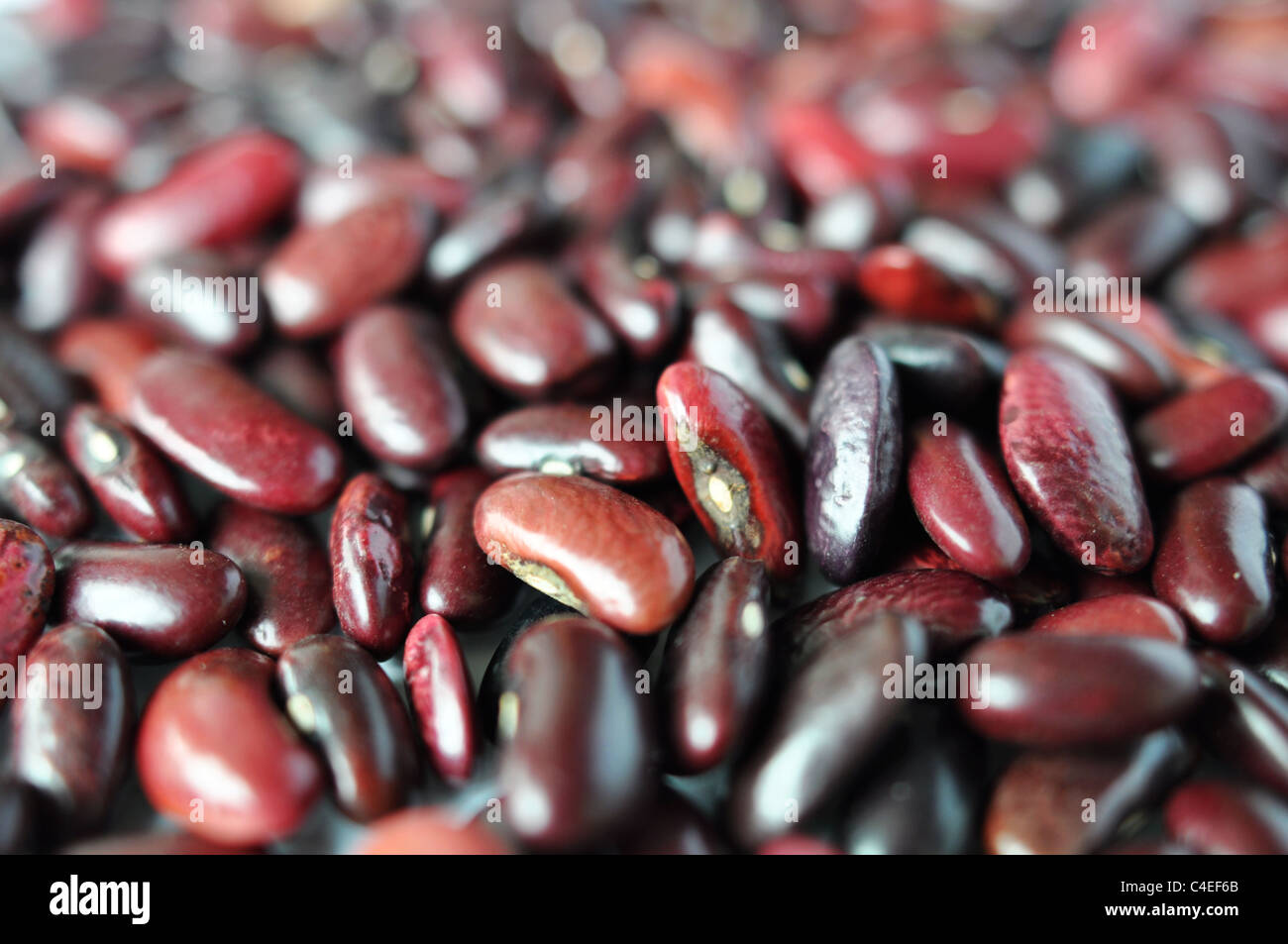 Red kidney beans Stock Photo - Alamy