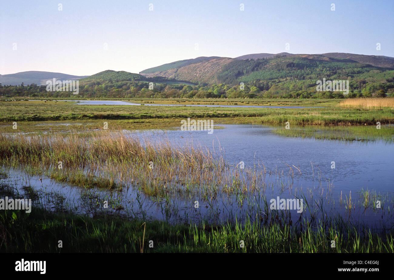 Mersehead Rspb Reserve High Resolution Stock Photography and Images - Alamy