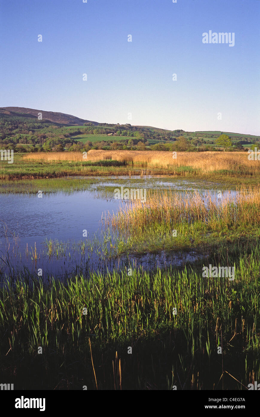 Mersehead Rspb Reserve High Resolution Stock Photography and Images - Alamy