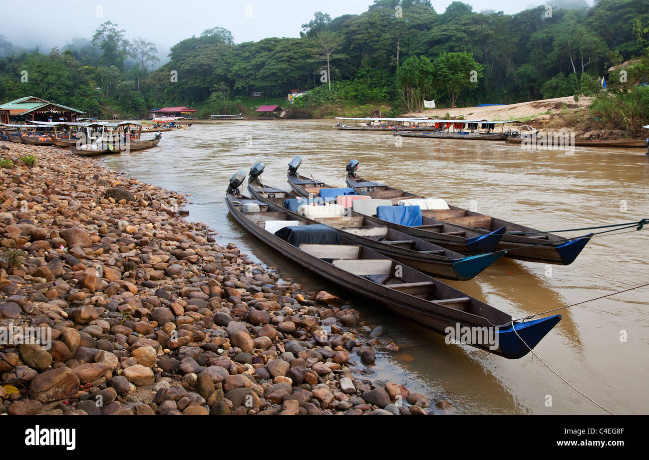 Kuala tembeling hi-res stock photography and images - Alamy