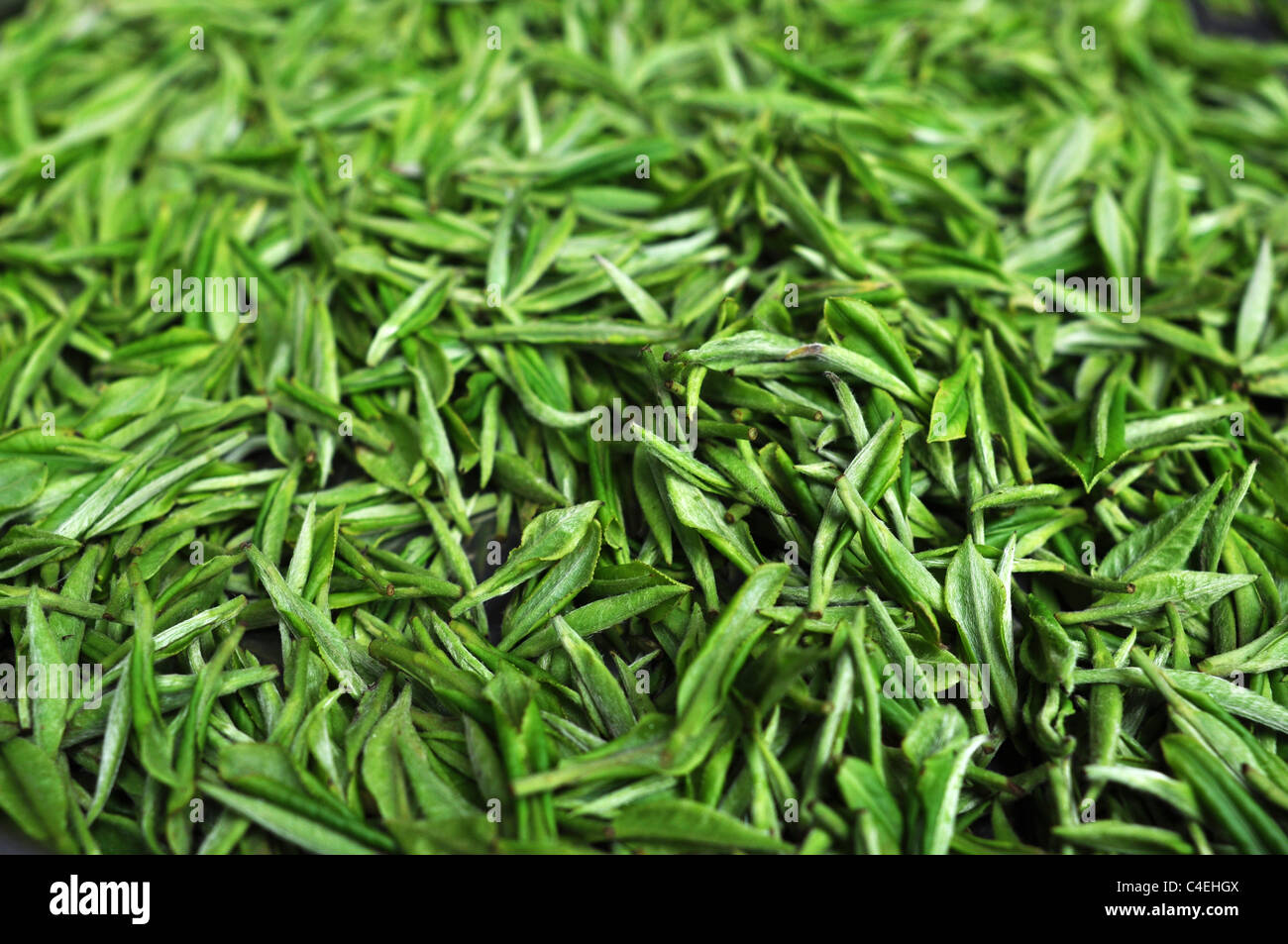 New tea leaves hi-res stock photography and images - Alamy