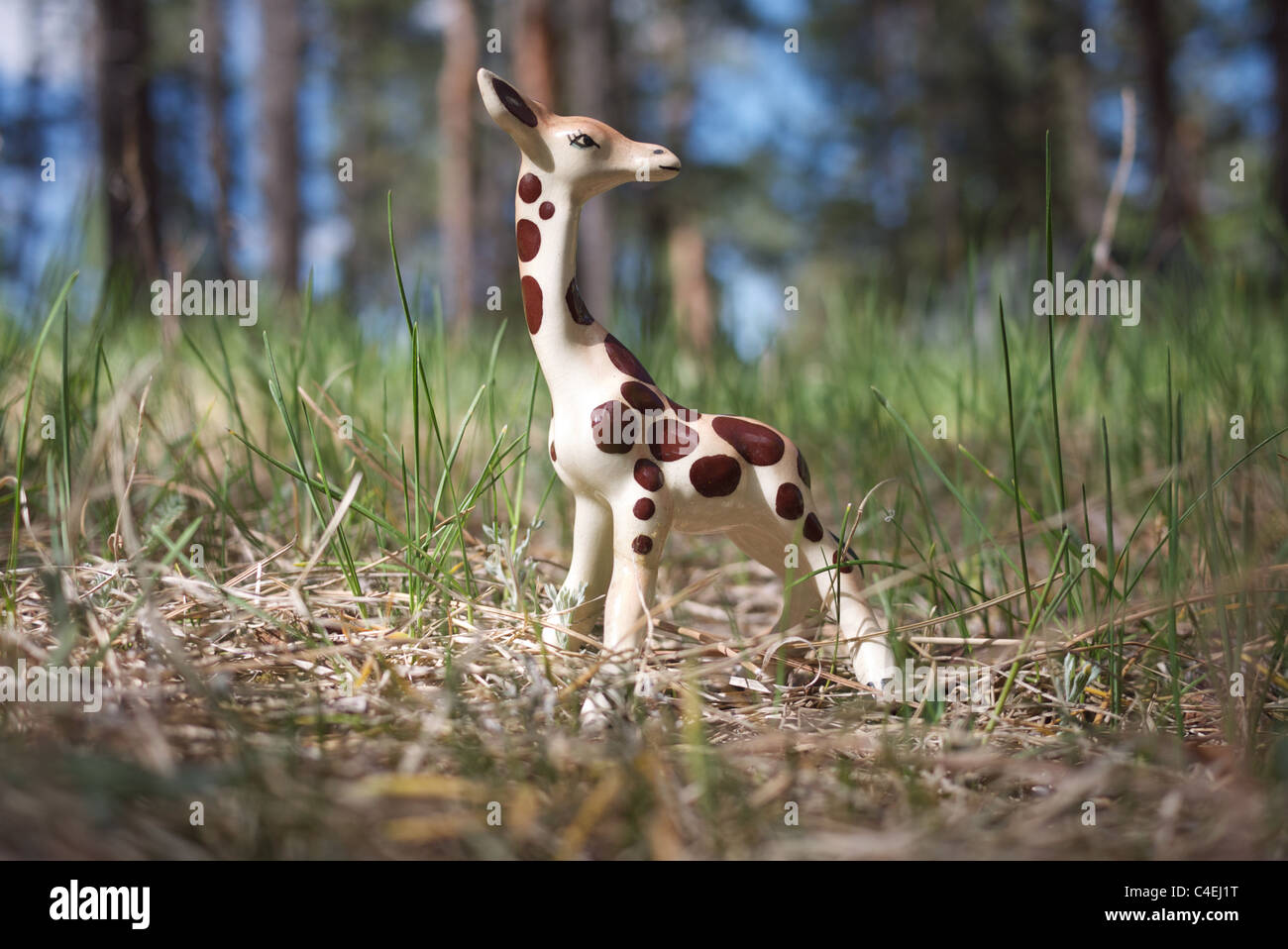 SMALL CERAMIC GIRAFFE IN THE WOODS Stock Photo - Alamy