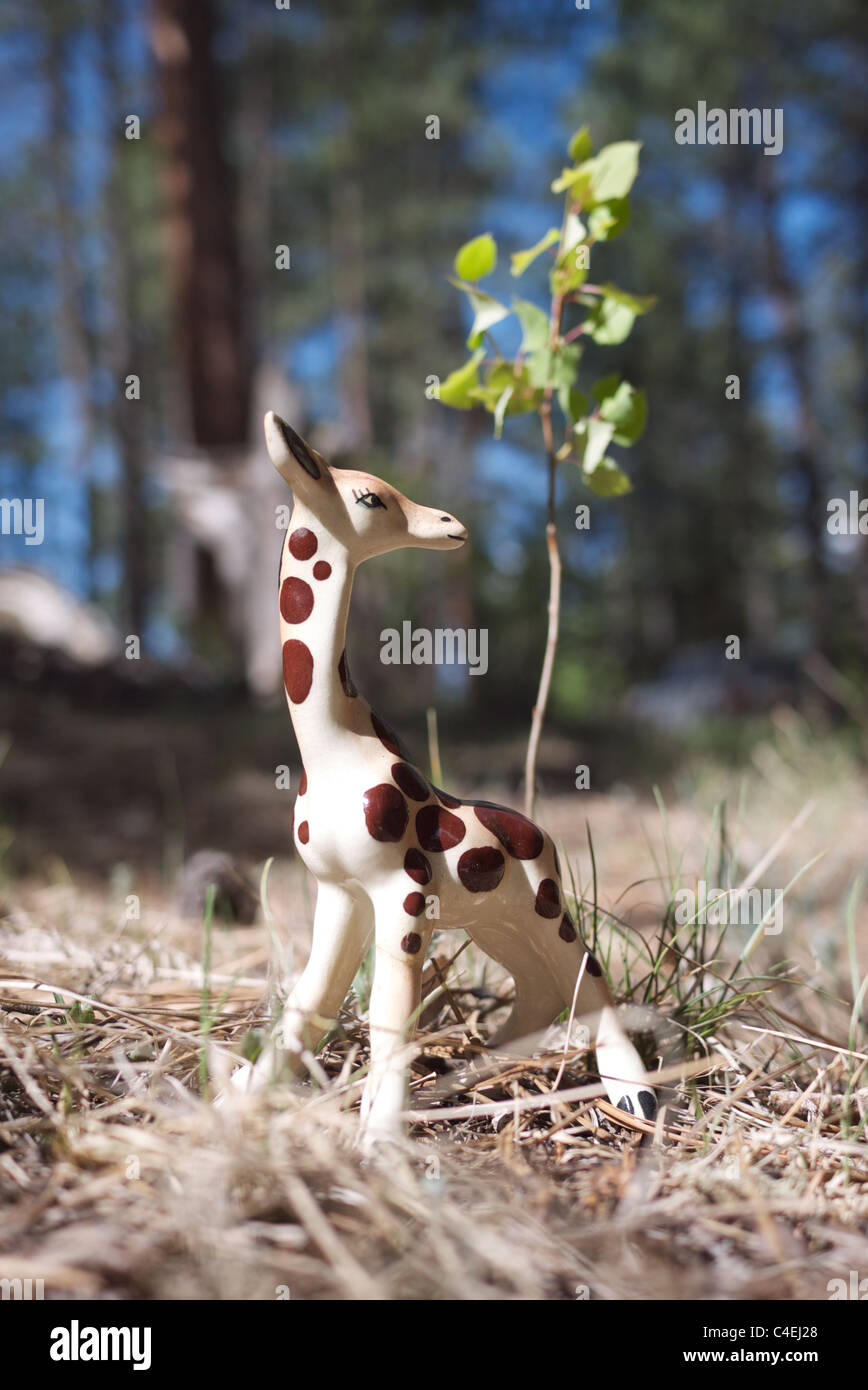 SMALL CERAMIC GIRAFFE IN THE WOODS Stock Photo - Alamy