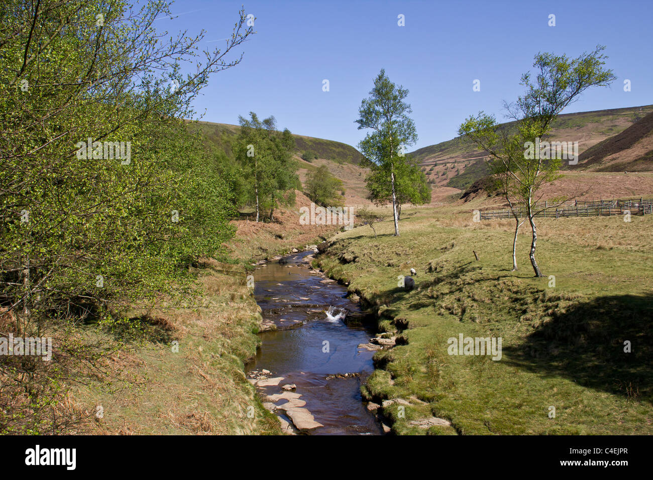 The river has its beginnings high up on the barren Howden Moors Stock ...
