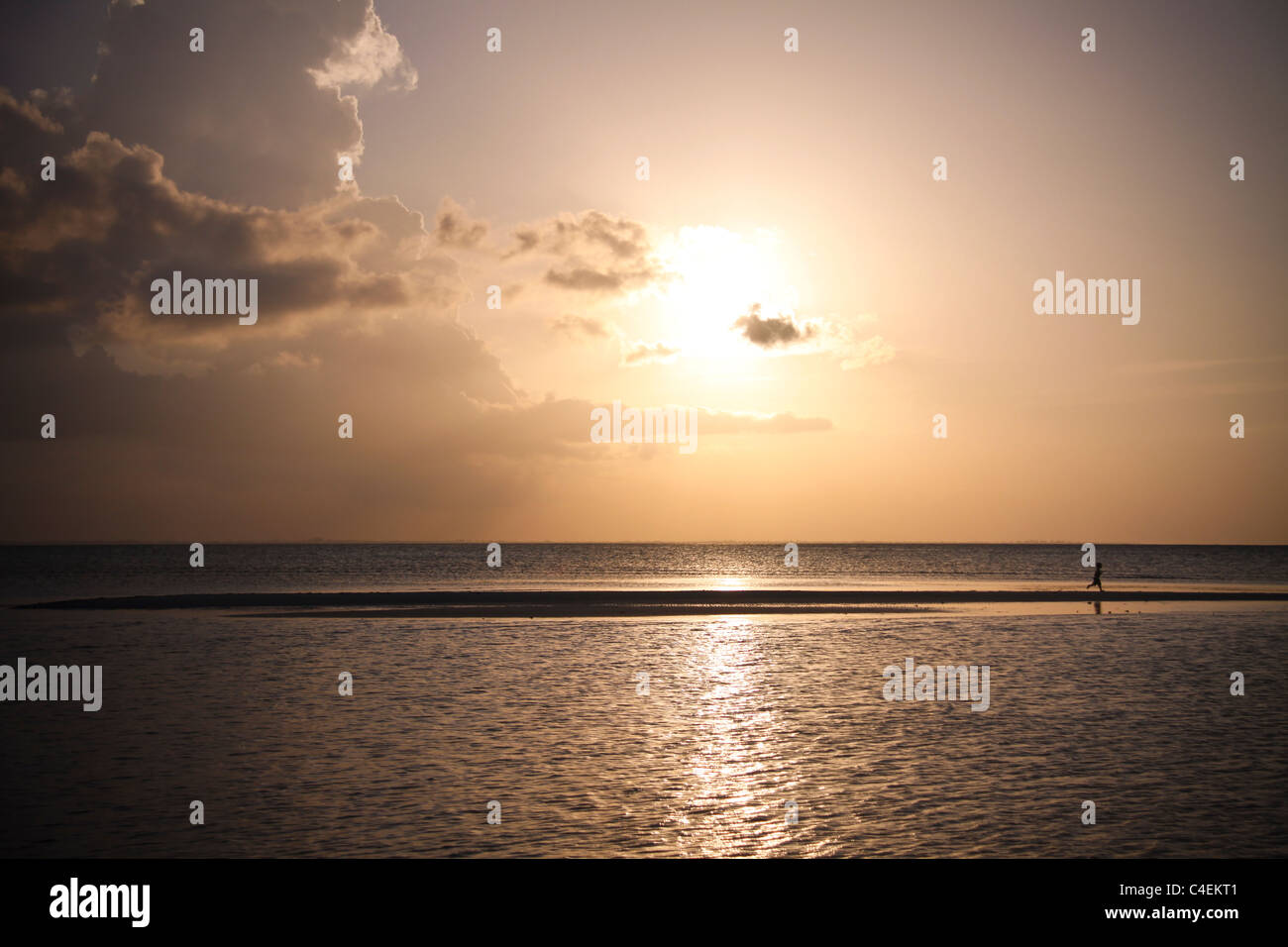 Running in Caribbean waters at sunset Stock Photo - Alamy