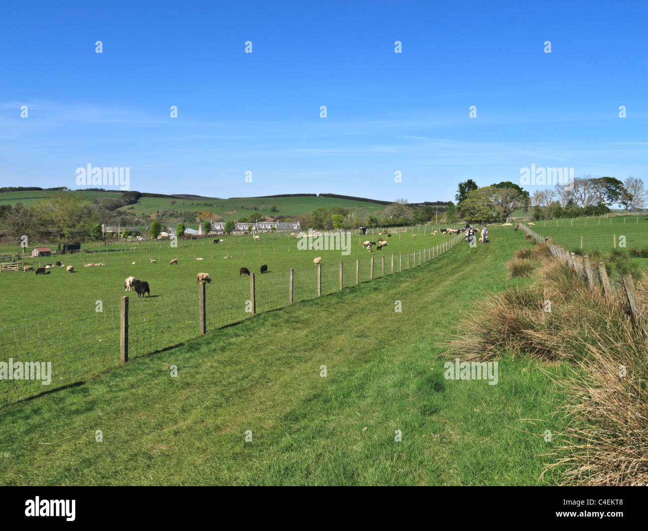 Jedforest Deer Farm, Scottish Borders - general view of tourist ...