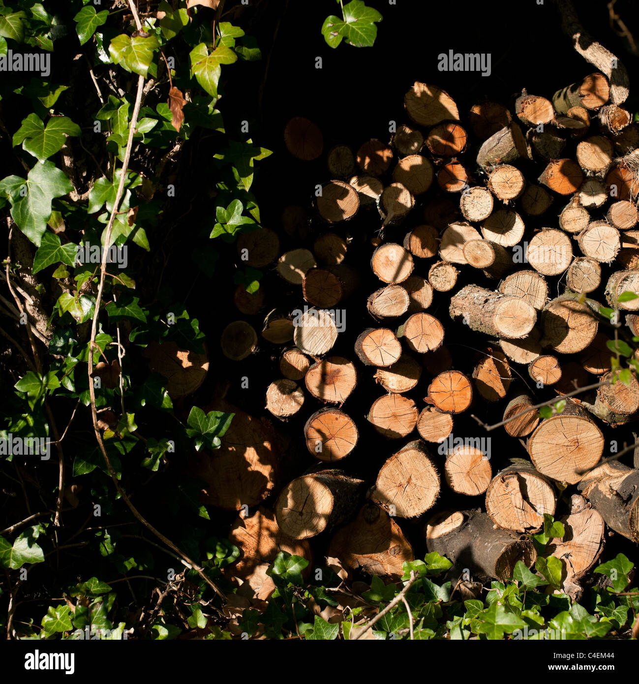Solid fuel wood burning stove hi-res stock photography and images - Alamy