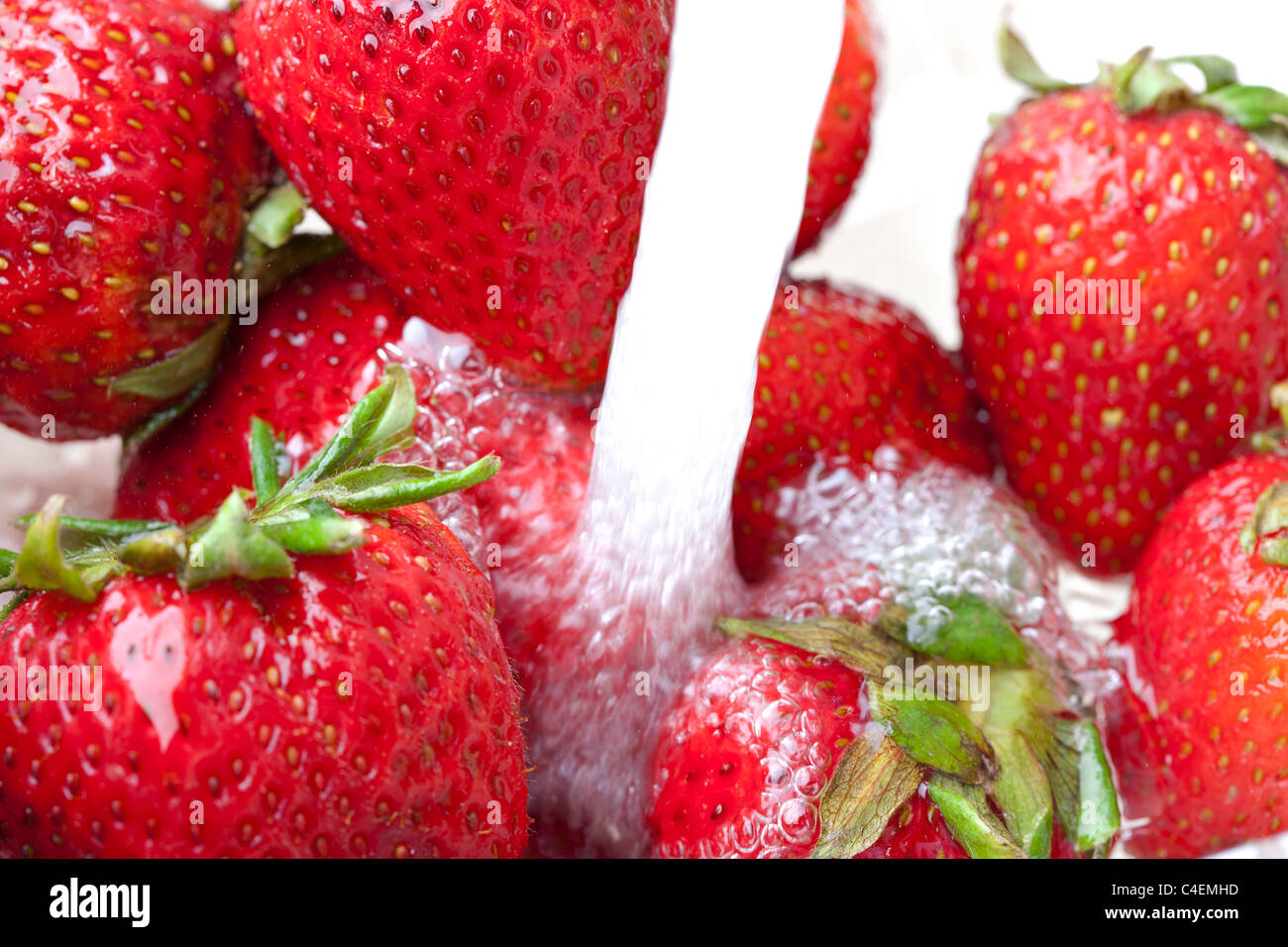Fresh red strawberries being washed with water Stock Photo - Alamy