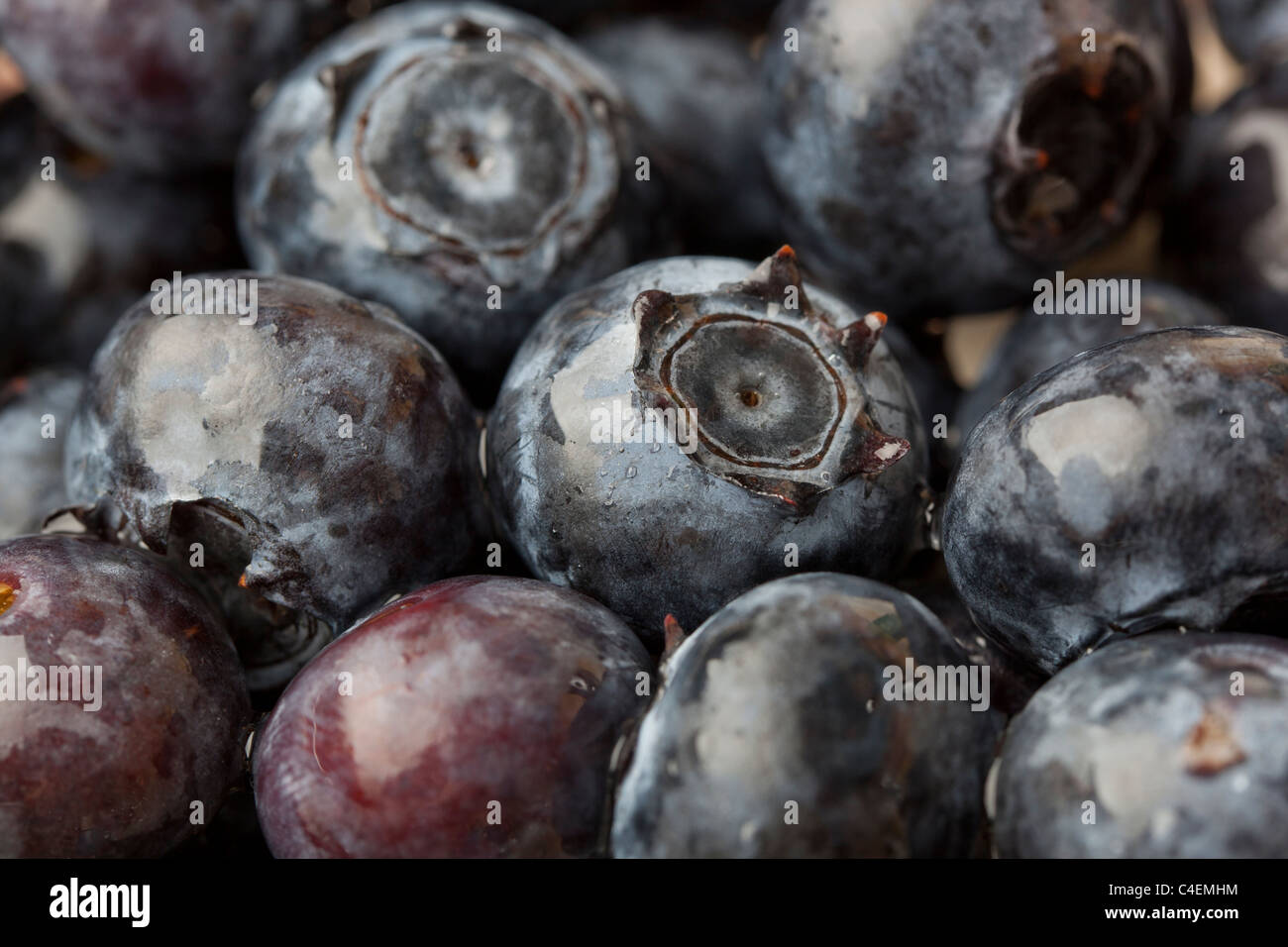 Washed blueberry hi-res stock photography and images - Alamy
