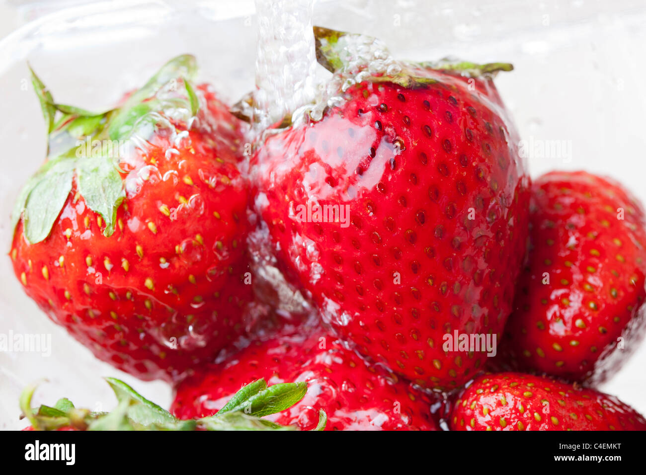Fresh red strawberries being washed with water Stock Photo - Alamy