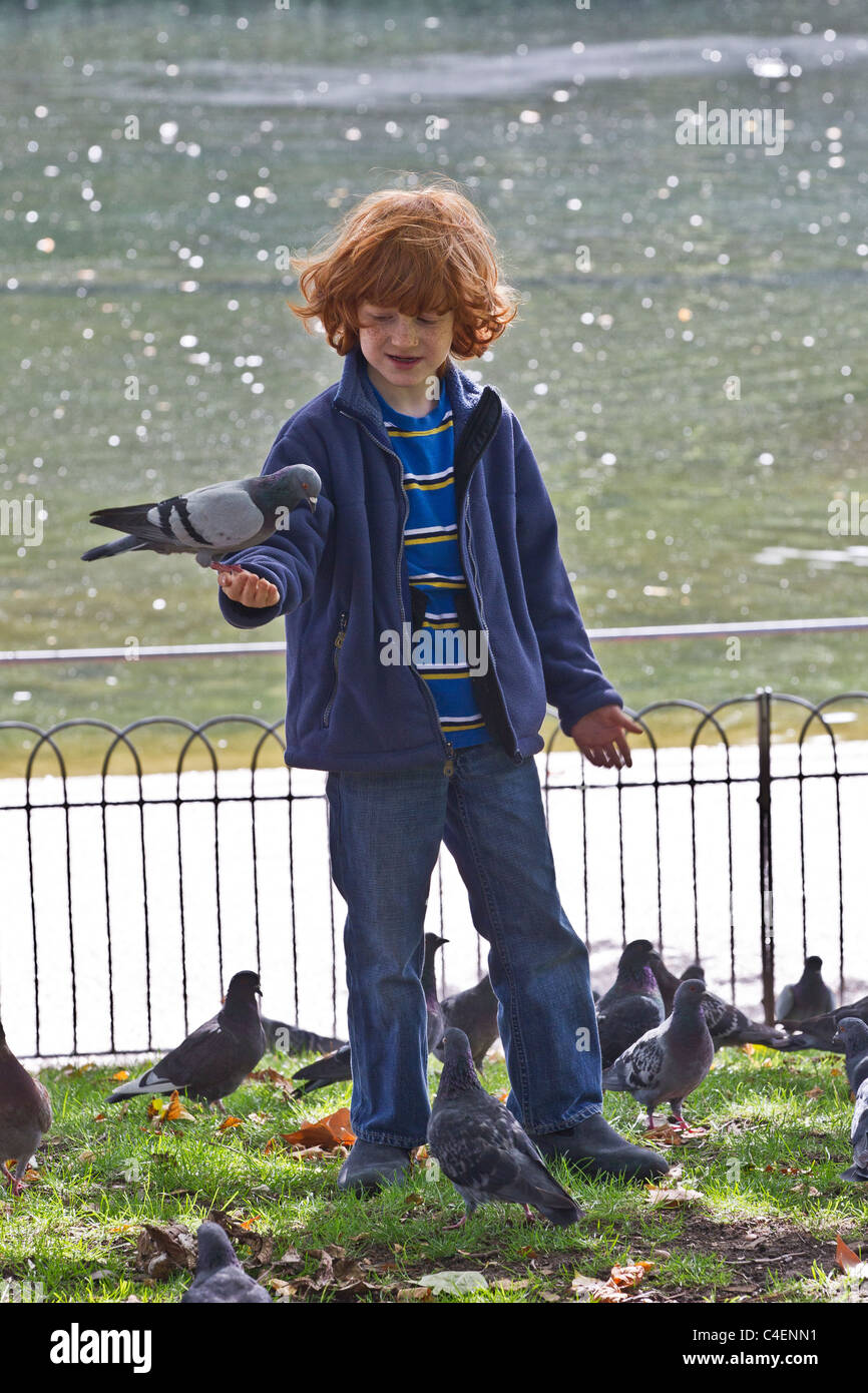 Boy holding bird hi-res stock photography and images - Alamy