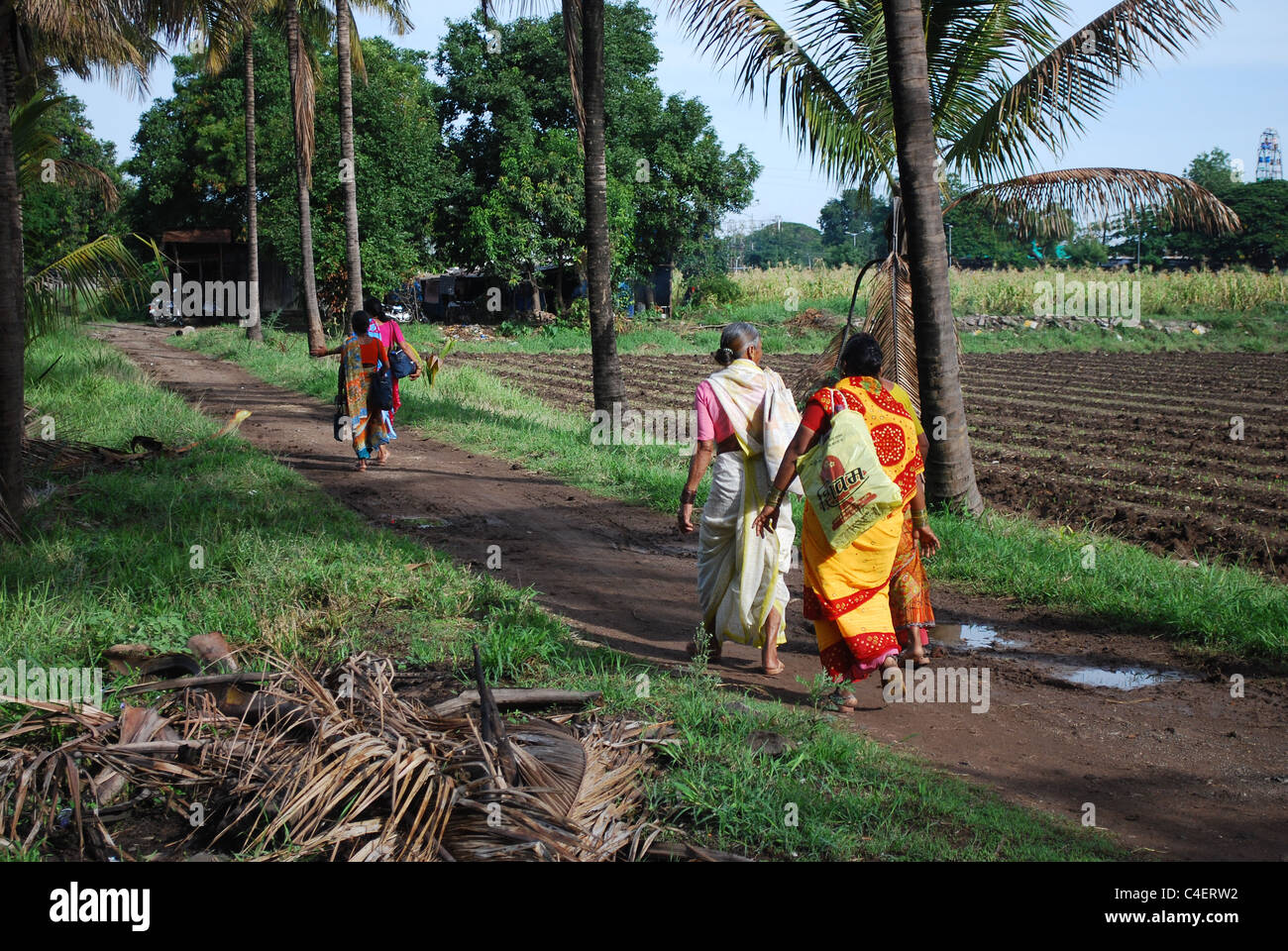 women going to farm work Stock Photo - Alamy