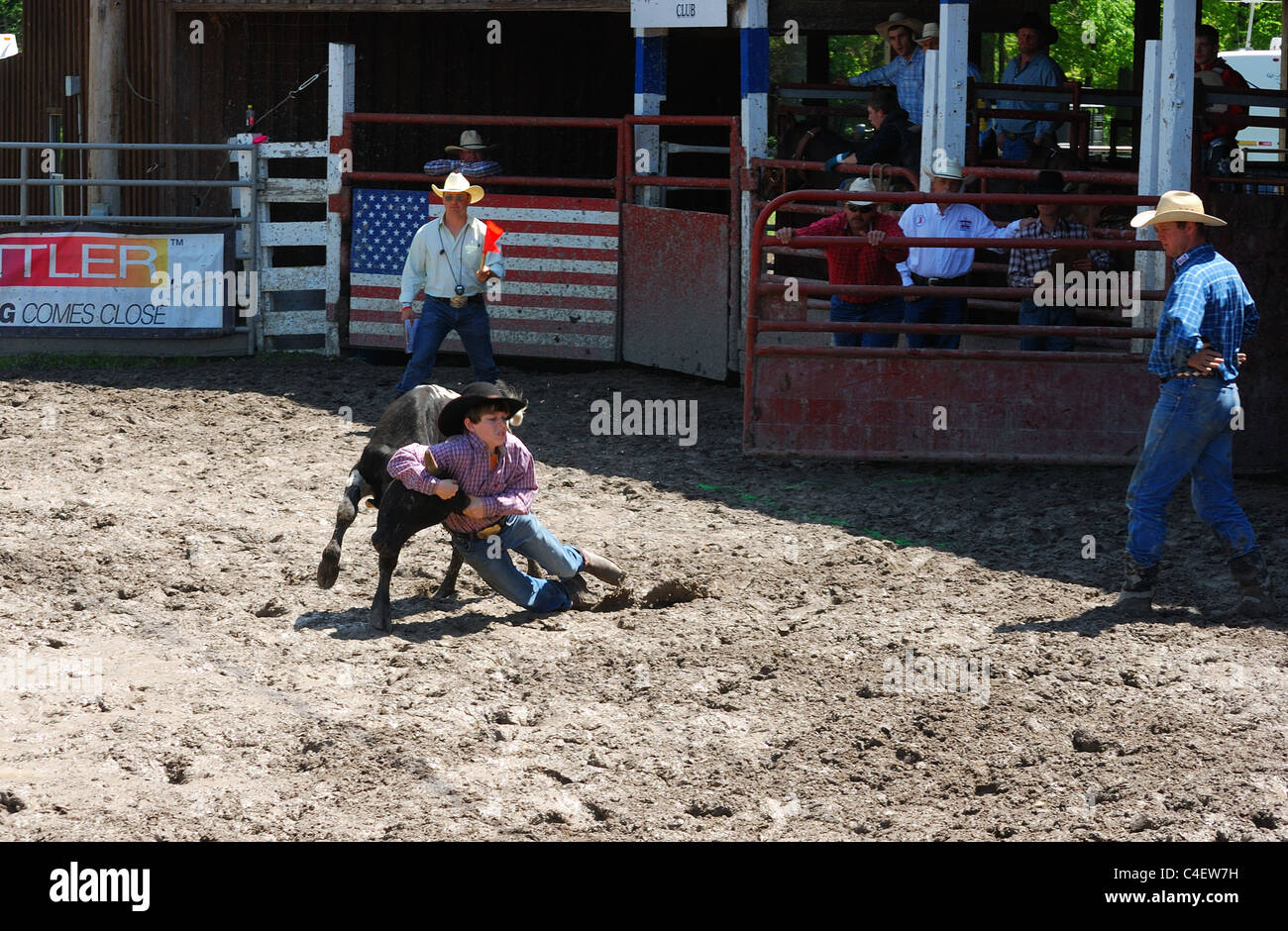 Teenage boy wrestles calf at High School Rodeo Stock Photo - Alamy