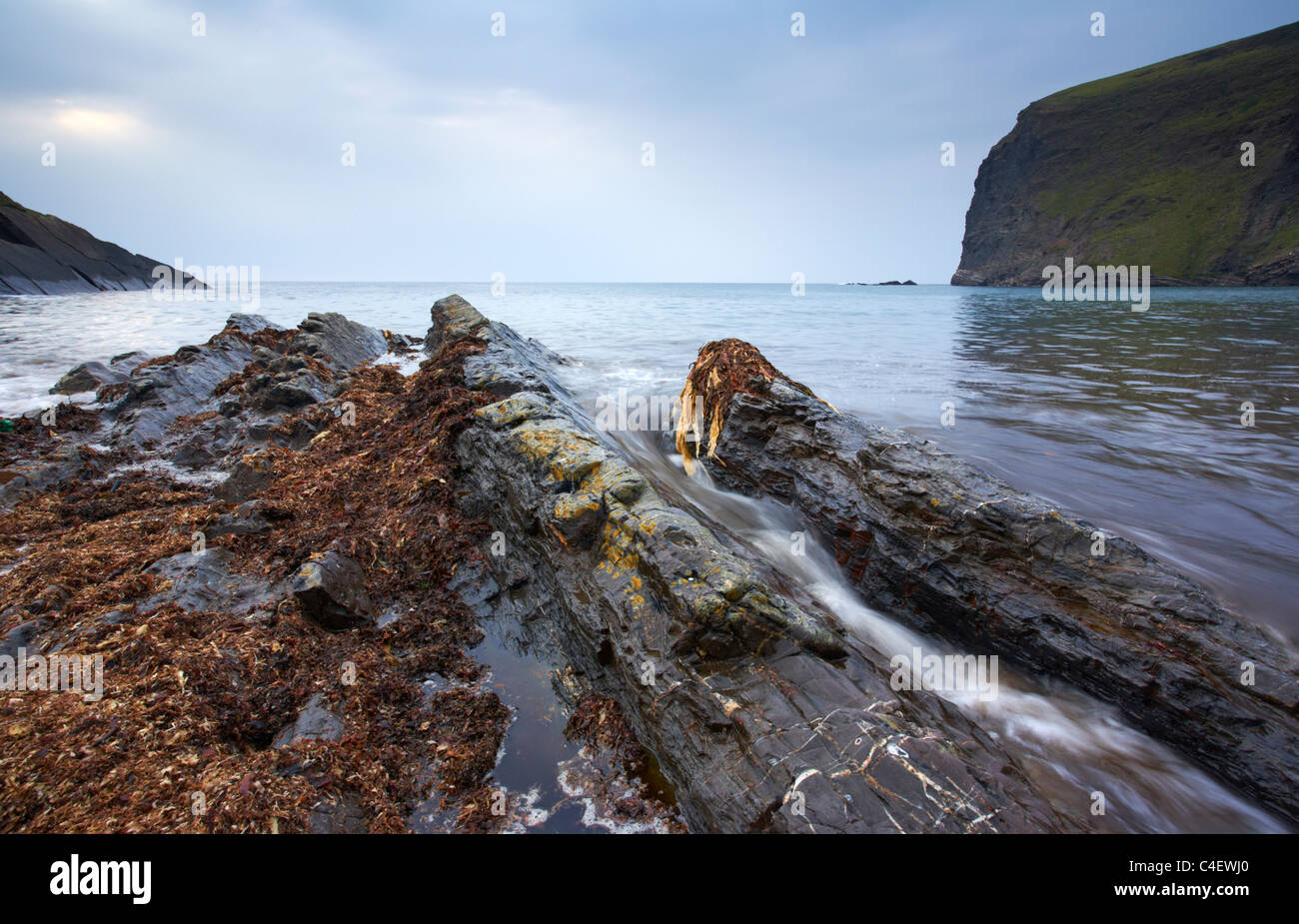 Crackington north cornwall hi-res stock photography and images - Alamy
