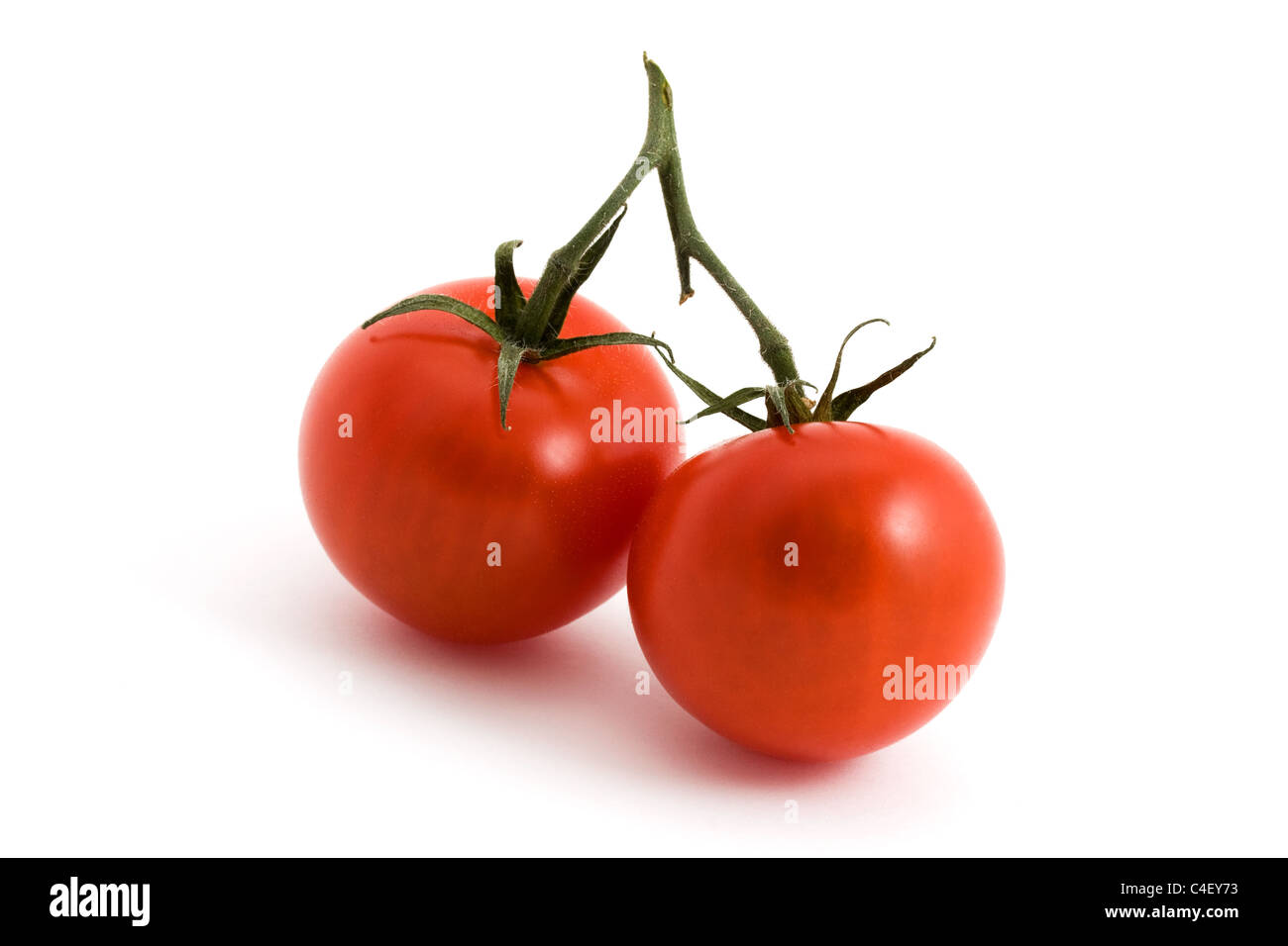 Two tomatoes on the vine isolated over white Stock Photo - Alamy