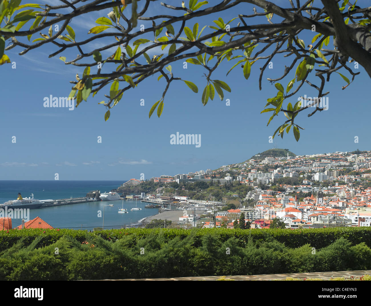 Panoramic view looking across the town city and harbour Funchal Madeira ...