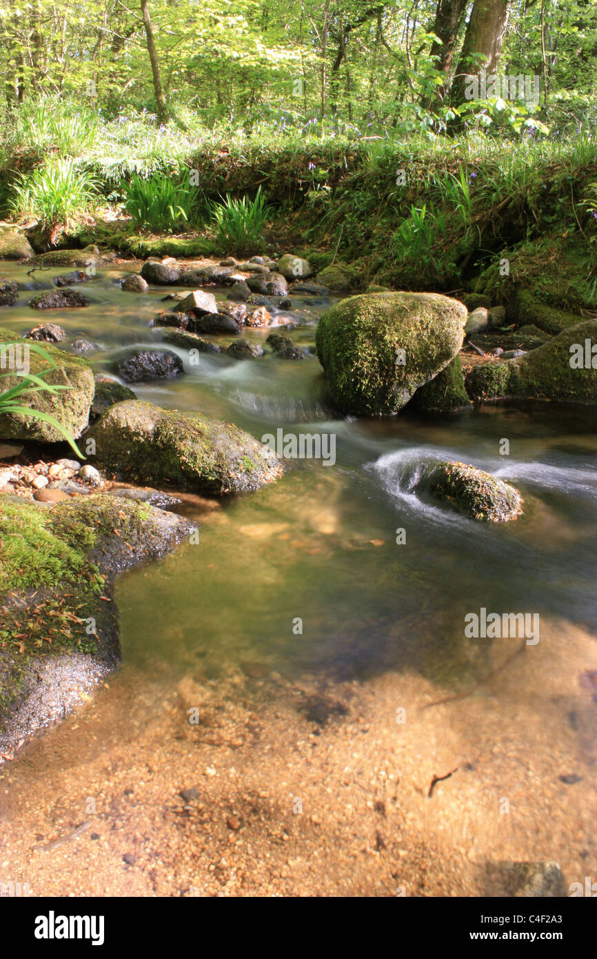 long slow exposure in trevaylor woods cornwall Stock Photo - Alamy