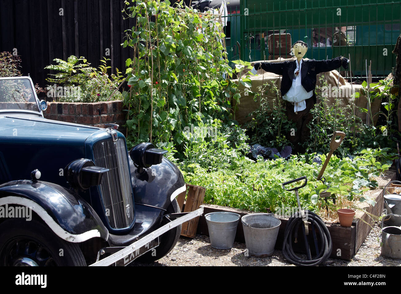 Dig for food hi-res stock photography and images - Alamy