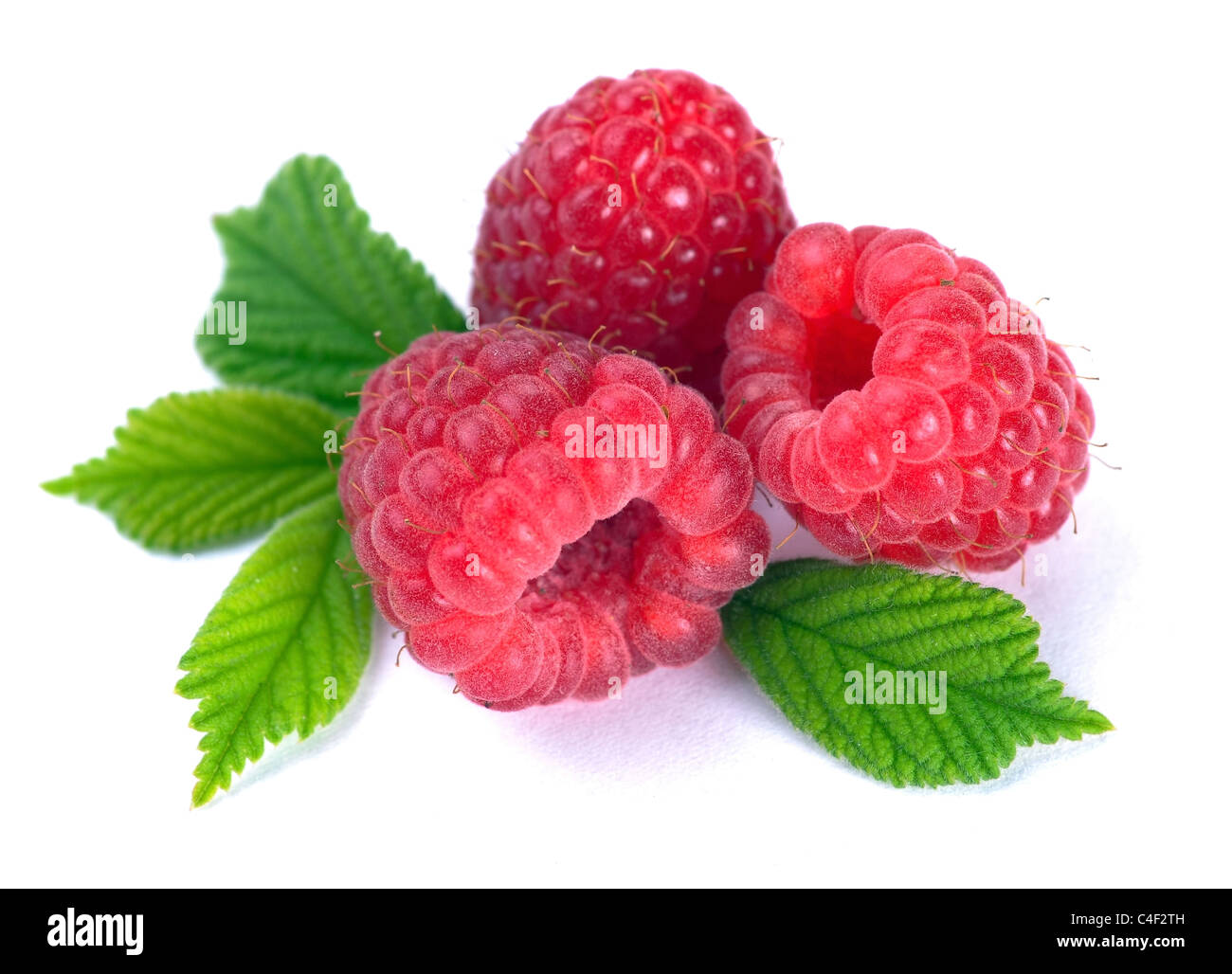 Raspberry with leaves on a white background Stock Photo - Alamy