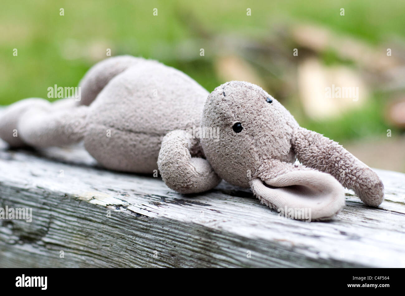 Child's Toy Rabbit, Attachment Object, as part of childhood, and ...