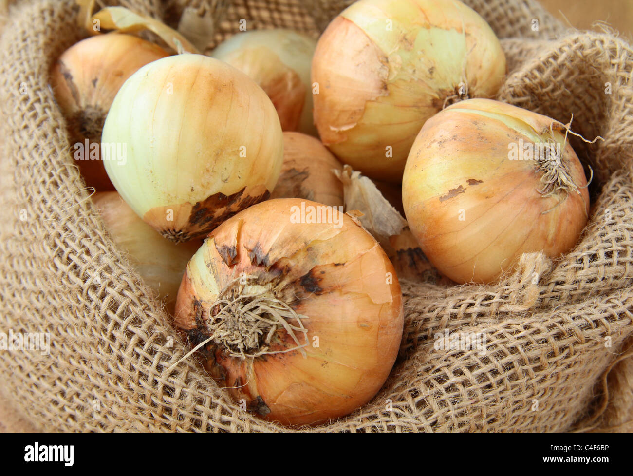 Organic fresh onion in linen bag Stock Photo - Alamy