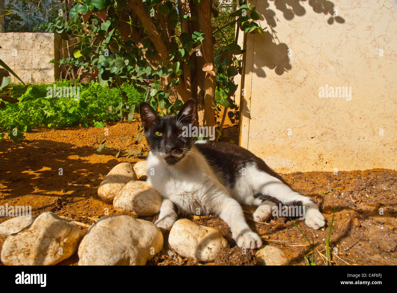 Tel Aviv, scene of life Stock Photo - Alamy