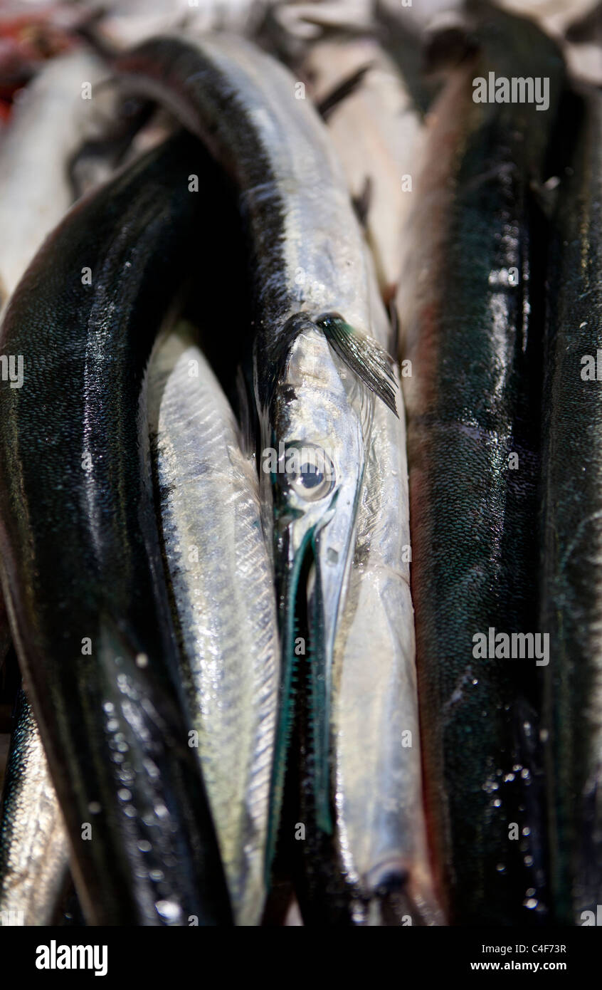 Gar scales hi-res stock photography and images - Alamy