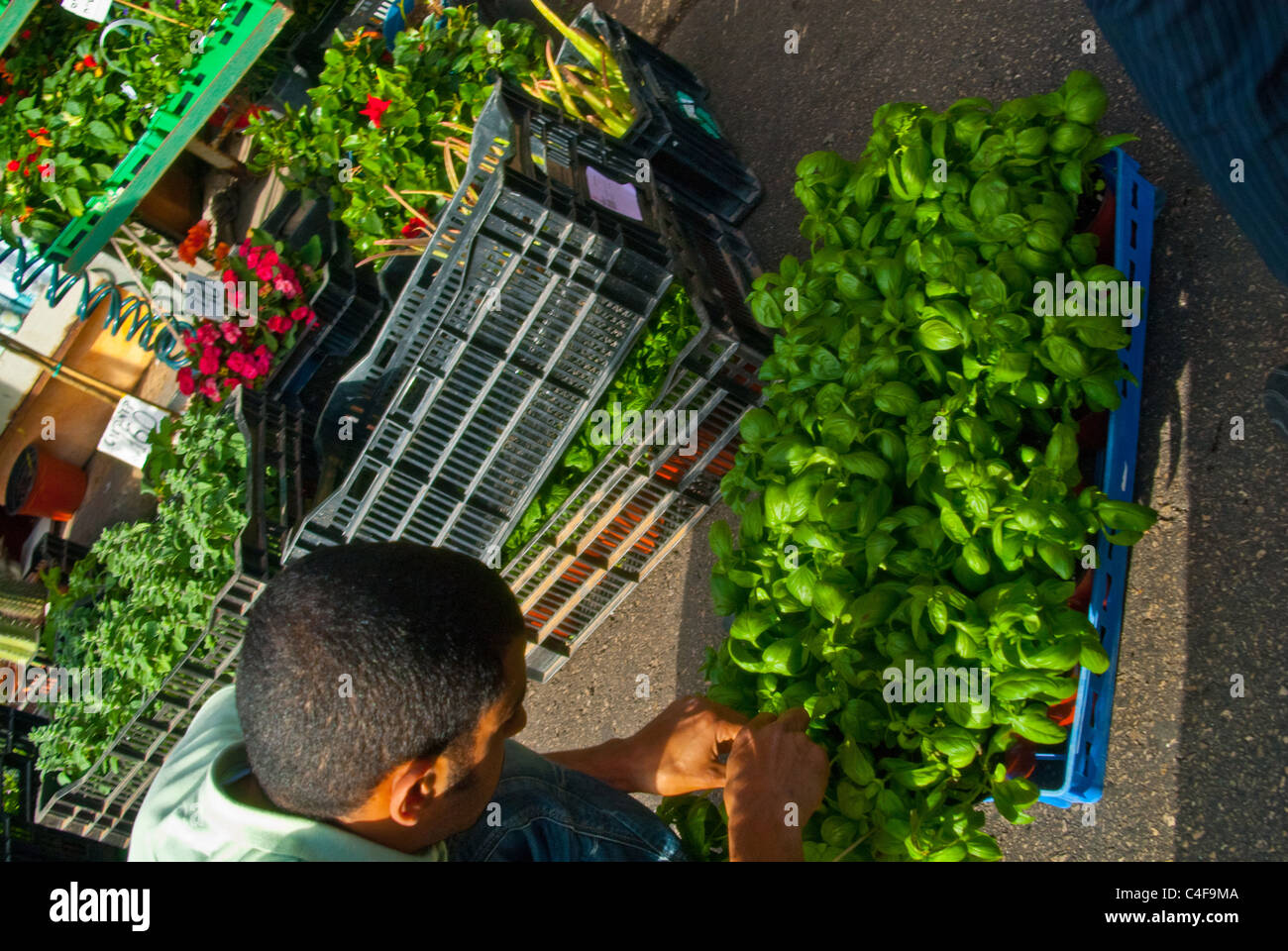 Tel Aviv, scene of life Stock Photo - Alamy
