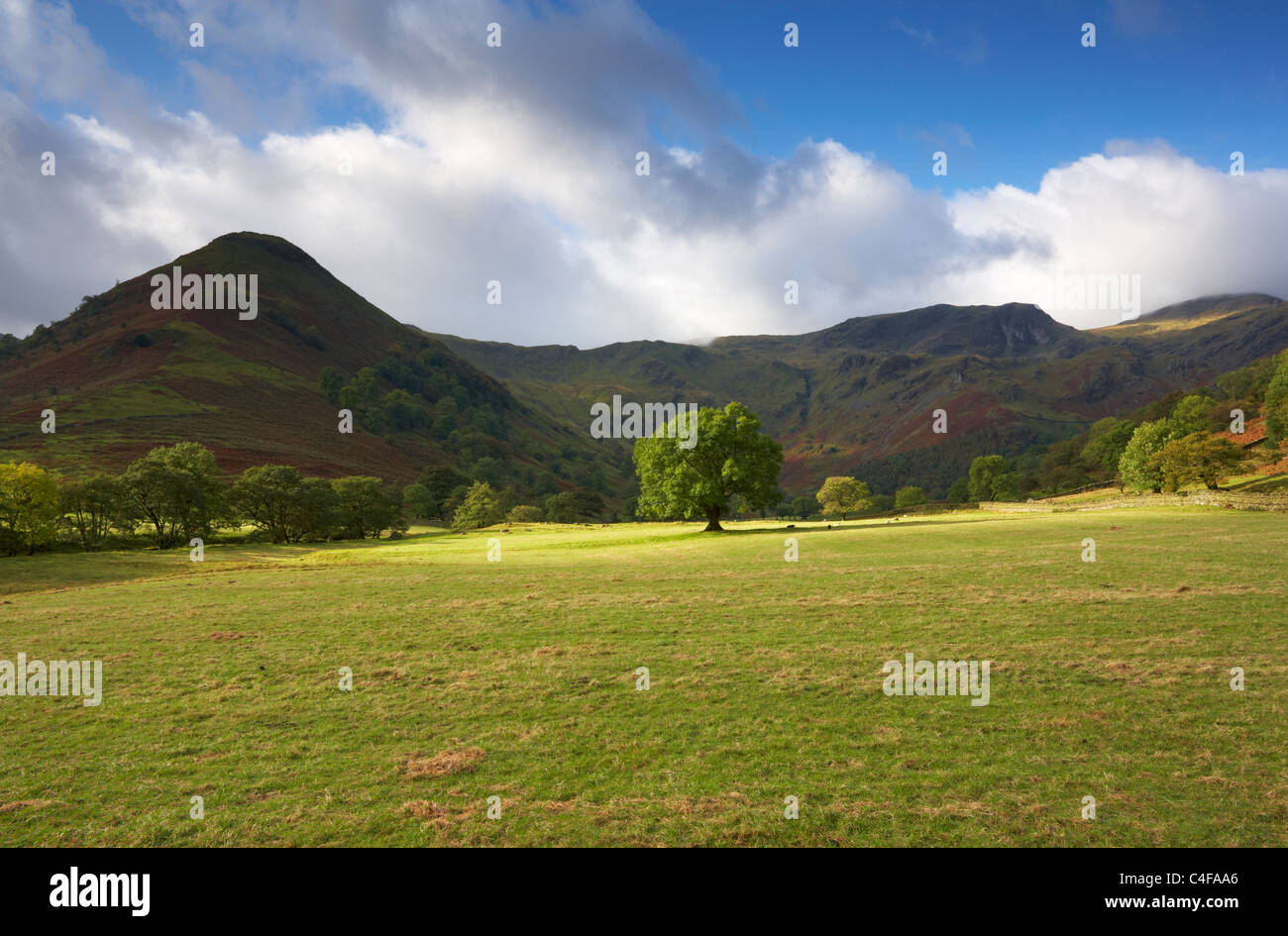 A scene from Dovedale in the Lake District Stock Photo - Alamy