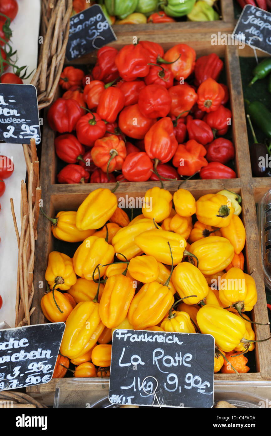 Fresh peppers capsicum on the market hi-res stock photography and ...