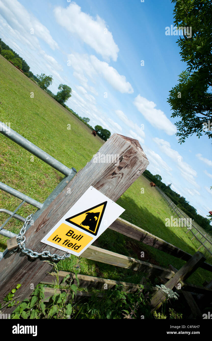Bull in a field sign on a farm gate. Oxfordshire, England Stock Photo ...