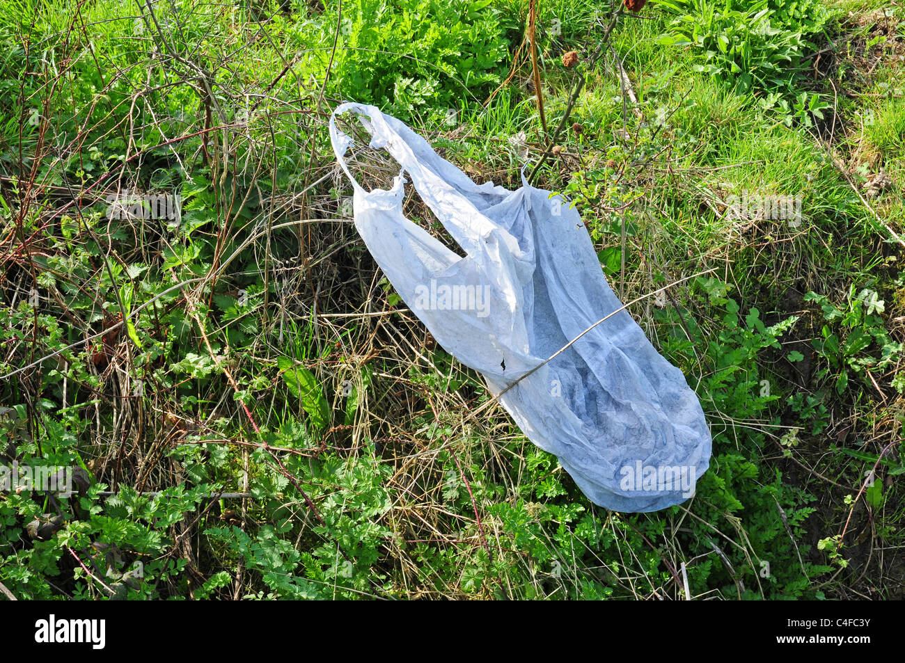 Fallen chinese lantern lying on drainage ditch bank Stock Photo - Alamy