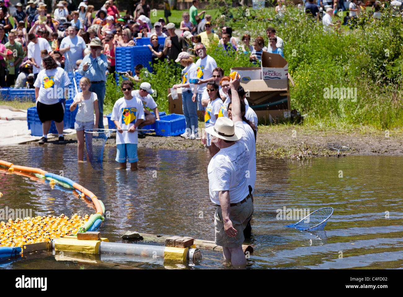 LOS GATOS, CA, USA - JUNE 12: The rubber duckies are kicking off their ...