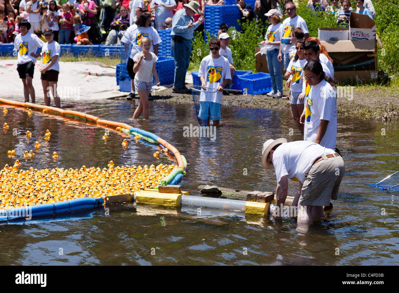 LOS GATOS, CA, USA - JUNE 12: The rubber duckies are kicking off their ...