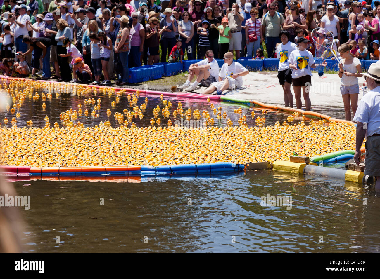 LOS GATOS, CA, USA - JUNE 12: The rubber duckies are kicking off their ...