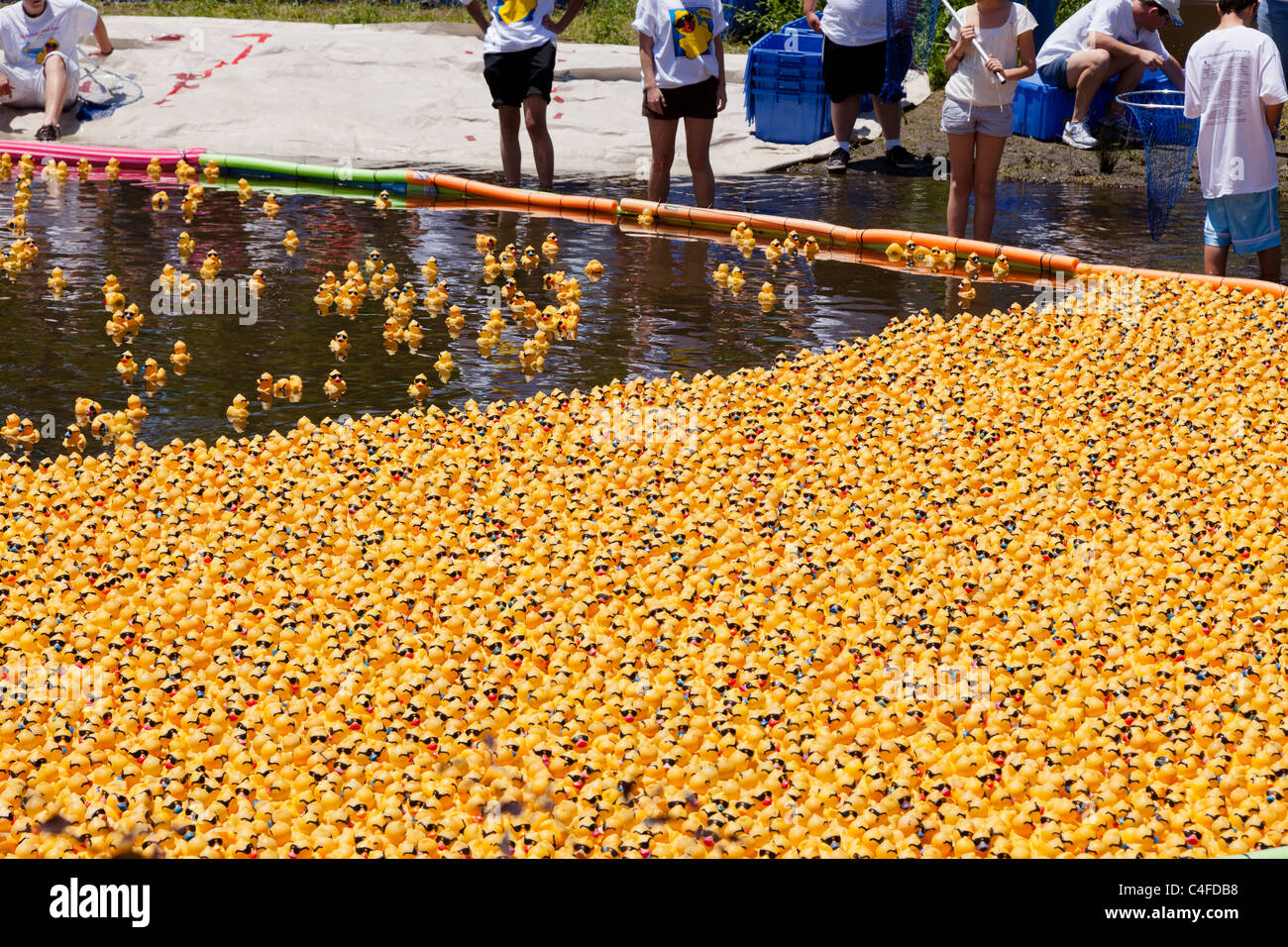 LOS GATOS, CA, USA - JUNE 12: The rubber duckies are kicking off their ...