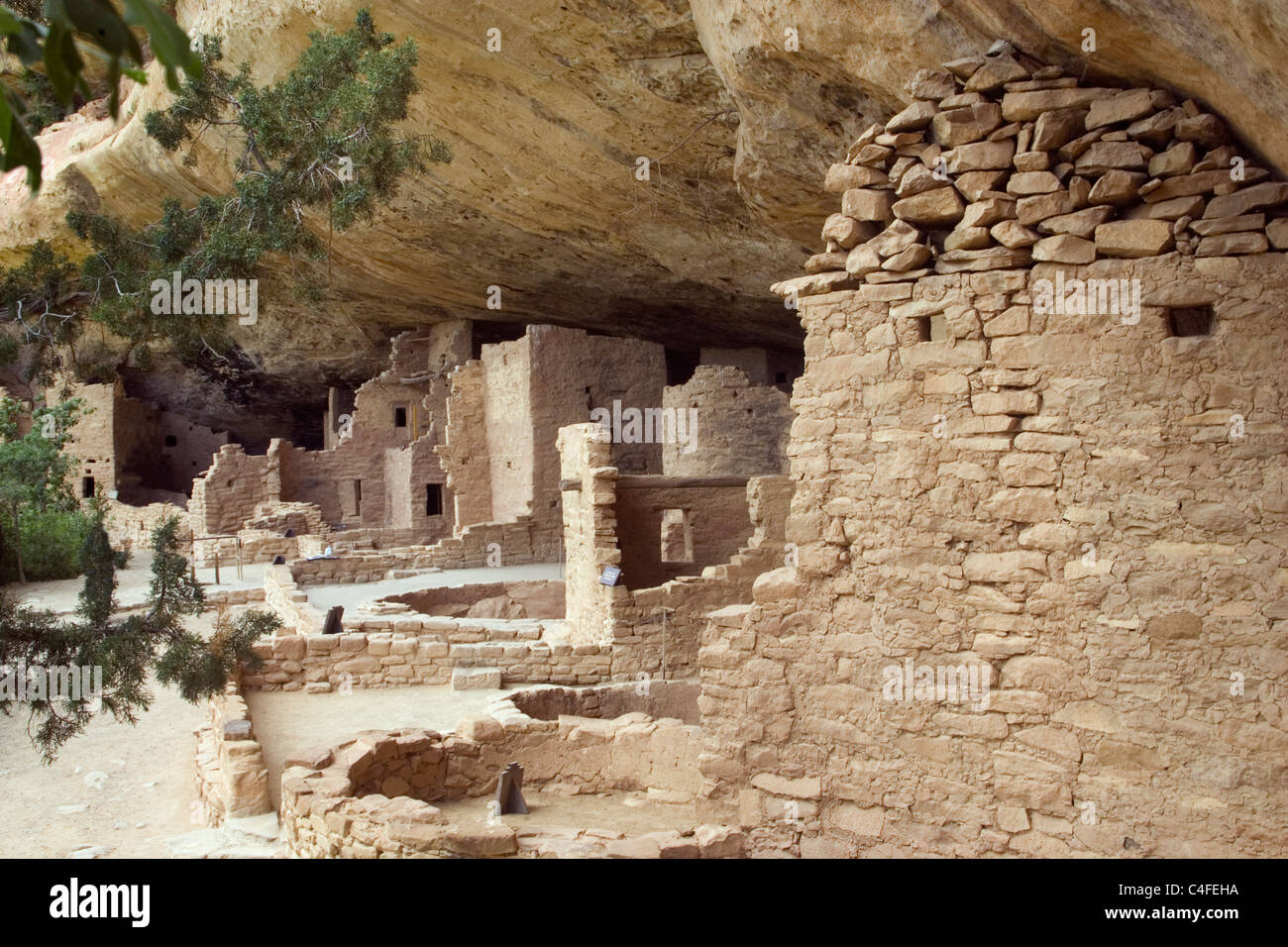 Spruce Tree House cliff dwelling built more than 1000 years ago by ...