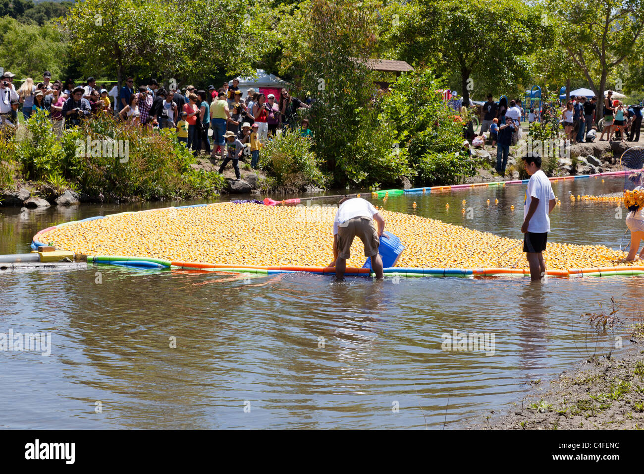 LOS GATOS, CA, USA - JUNE 12: The rubber duckies are kicking off their ...