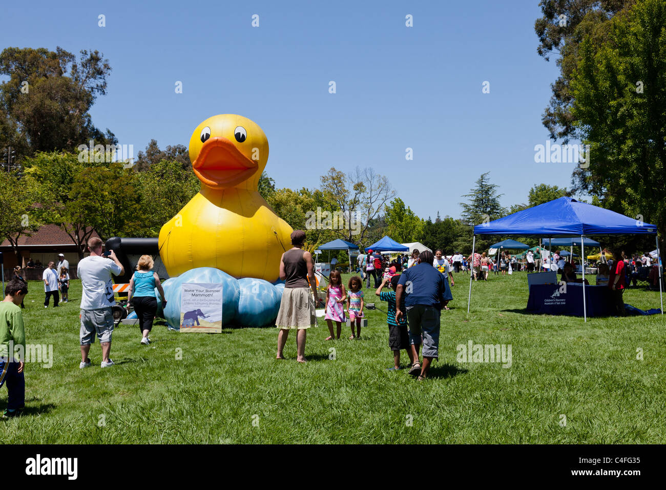 LOS GATOS, CA, USA - JUNE 12: The rubber duckies are kicking off their ...