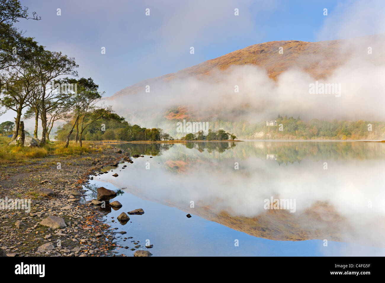 Scotland loch tree landscape hi-res stock photography and images - Alamy