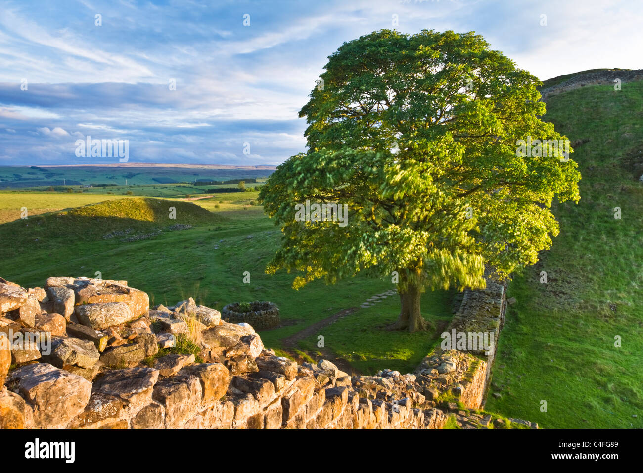 Sycamore Gap inbetween Steel Rigg and Housesteads on Hadrian's Wall ...