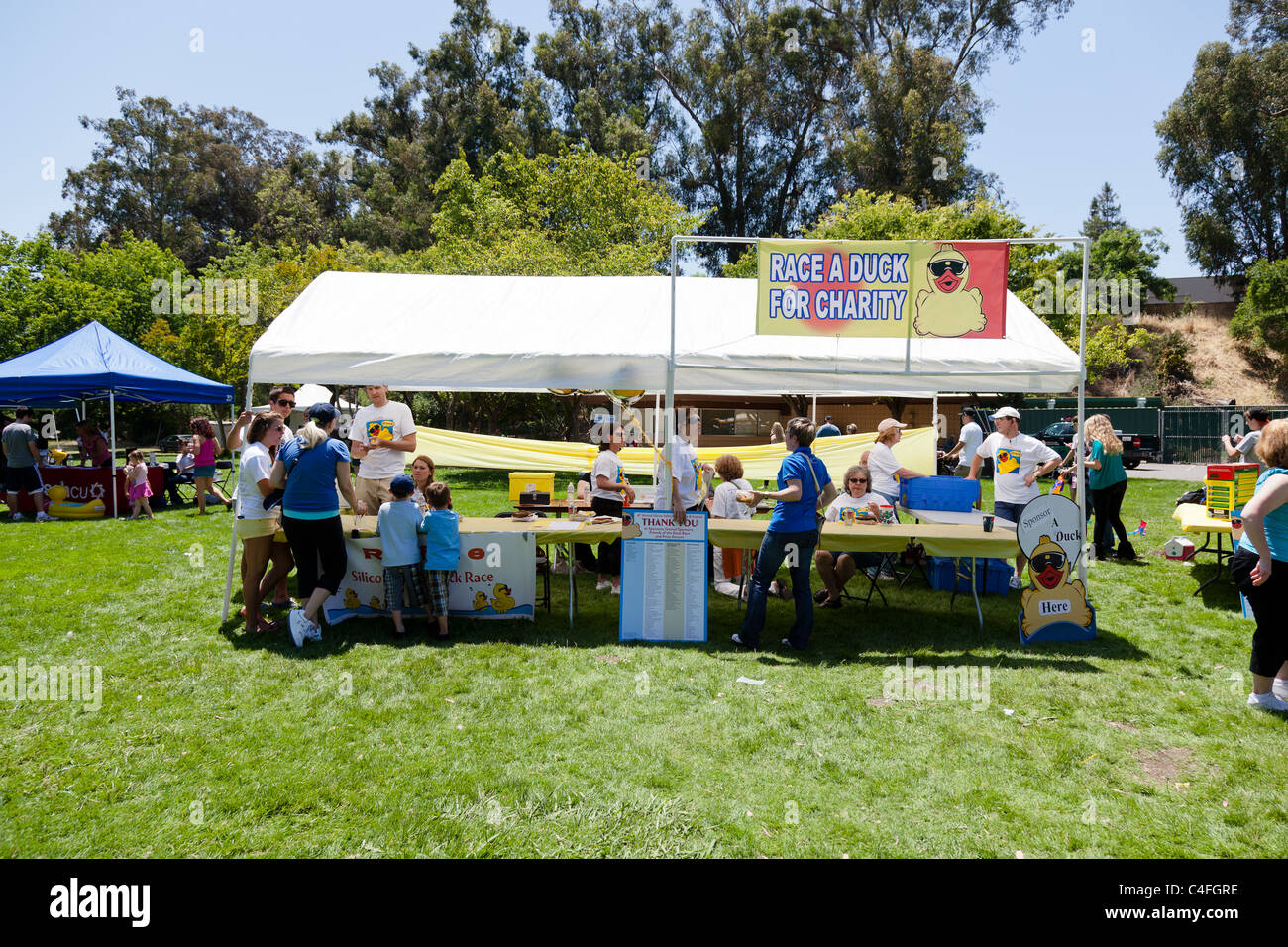 LOS GATOS, CA, USA - JUNE 12: The rubber duckies are kicking off their ...
