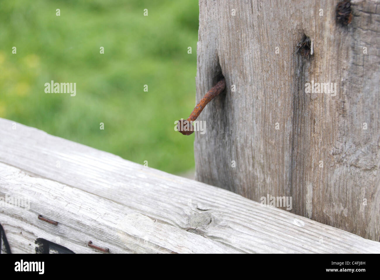 Rusty Nail in Wood Stock Photo - Alamy