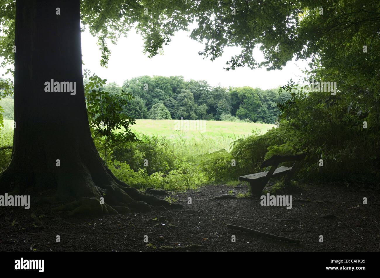 bench with a view Stock Photo - Alamy