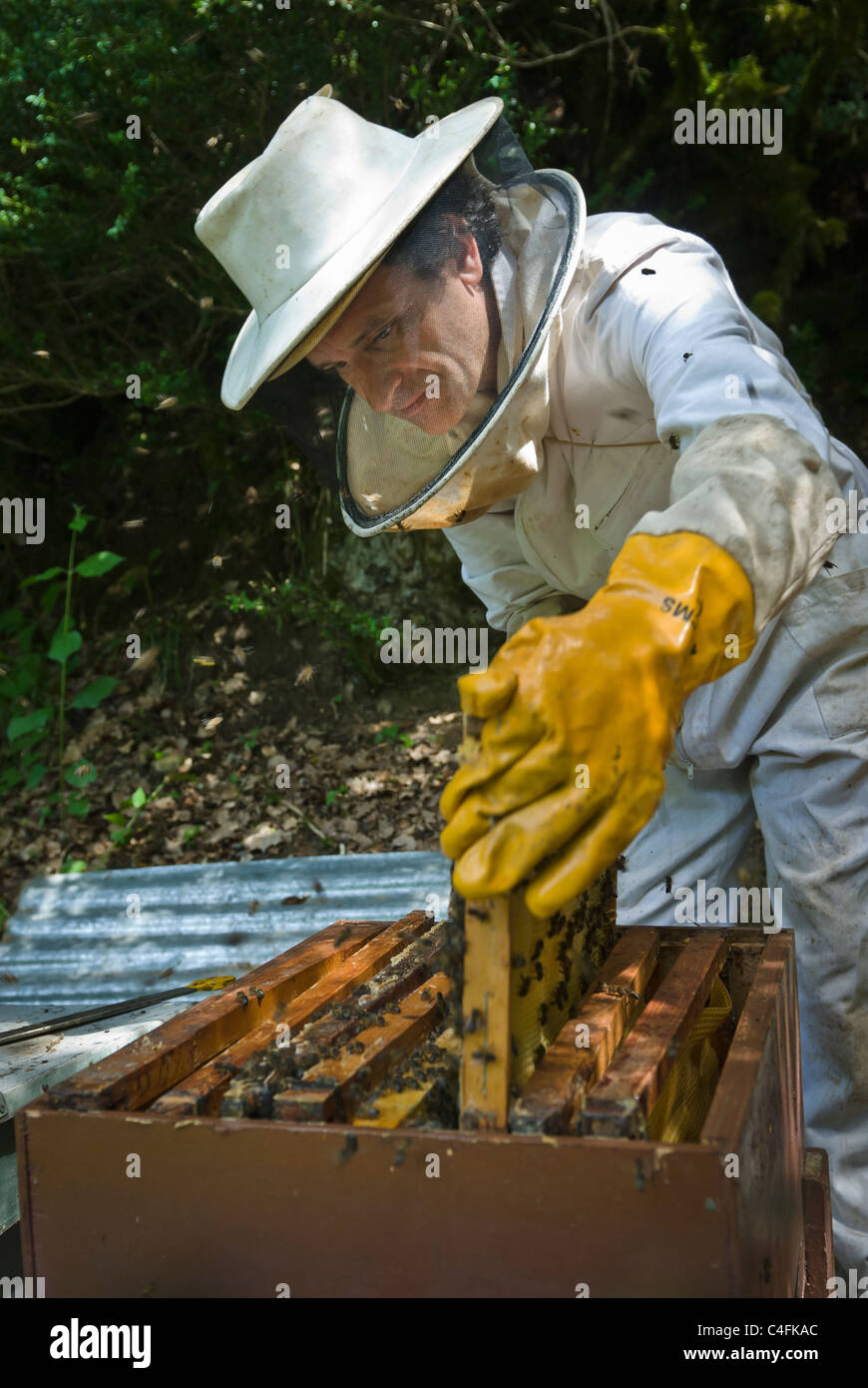 Beehives spain hi-res stock photography and images - Alamy