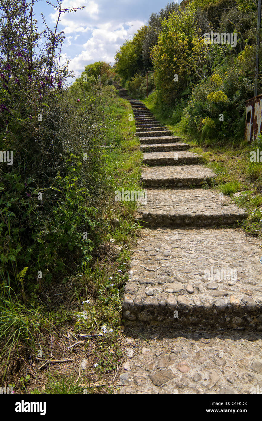 Stone pathway towards countryside Stock Photo - Alamy