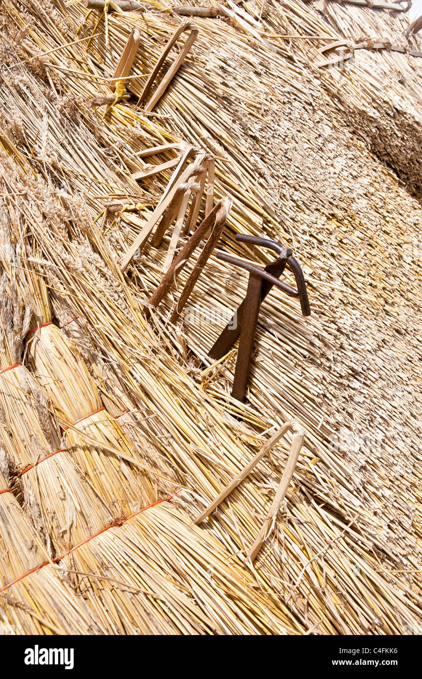 Section through a thatched roof, showing the layers and structure, with ...