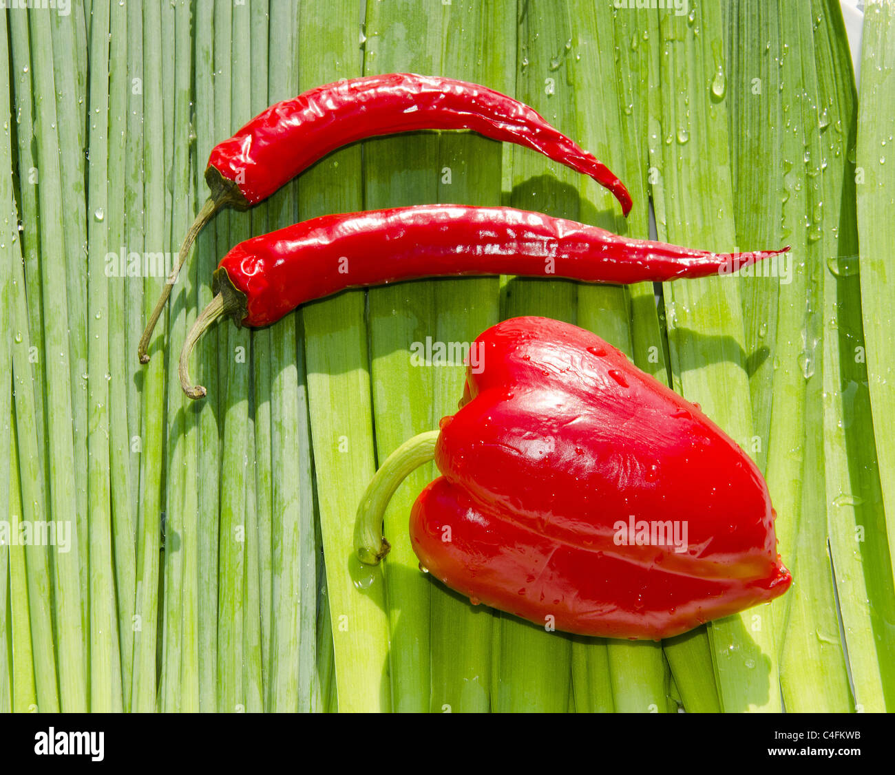 Slim and fat red peppers on row of green orions Stock Photo - Alamy