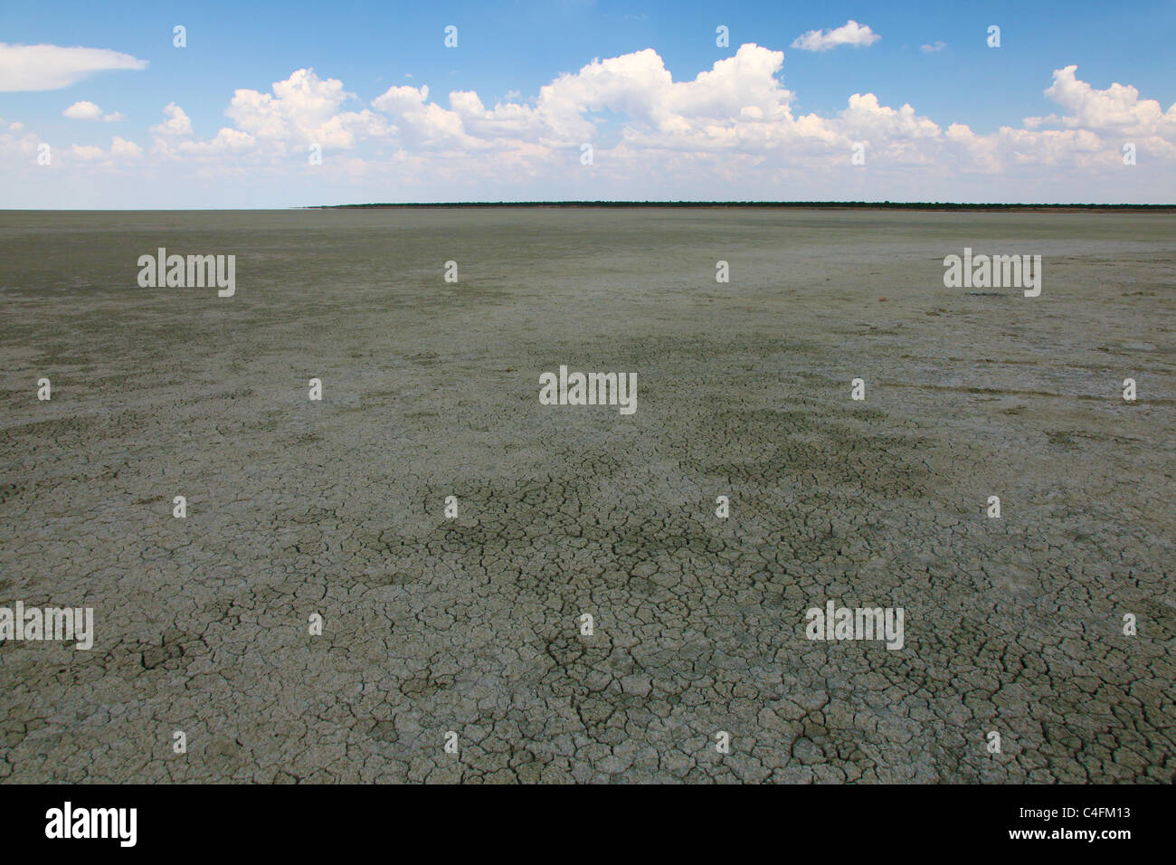 Etosha salt pan, Namibia Stock Photo - Alamy