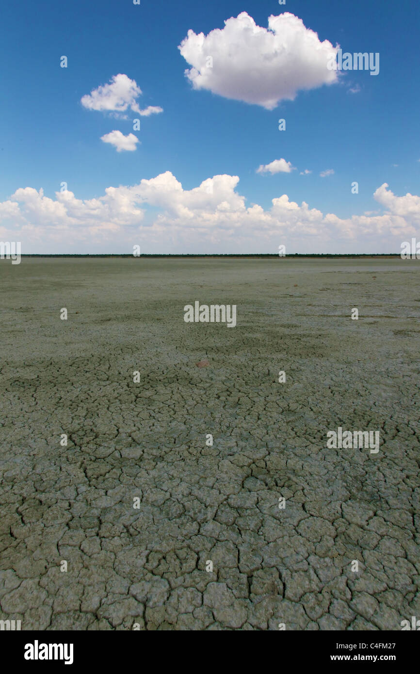 Etosha pan national park hi-res stock photography and images - Alamy